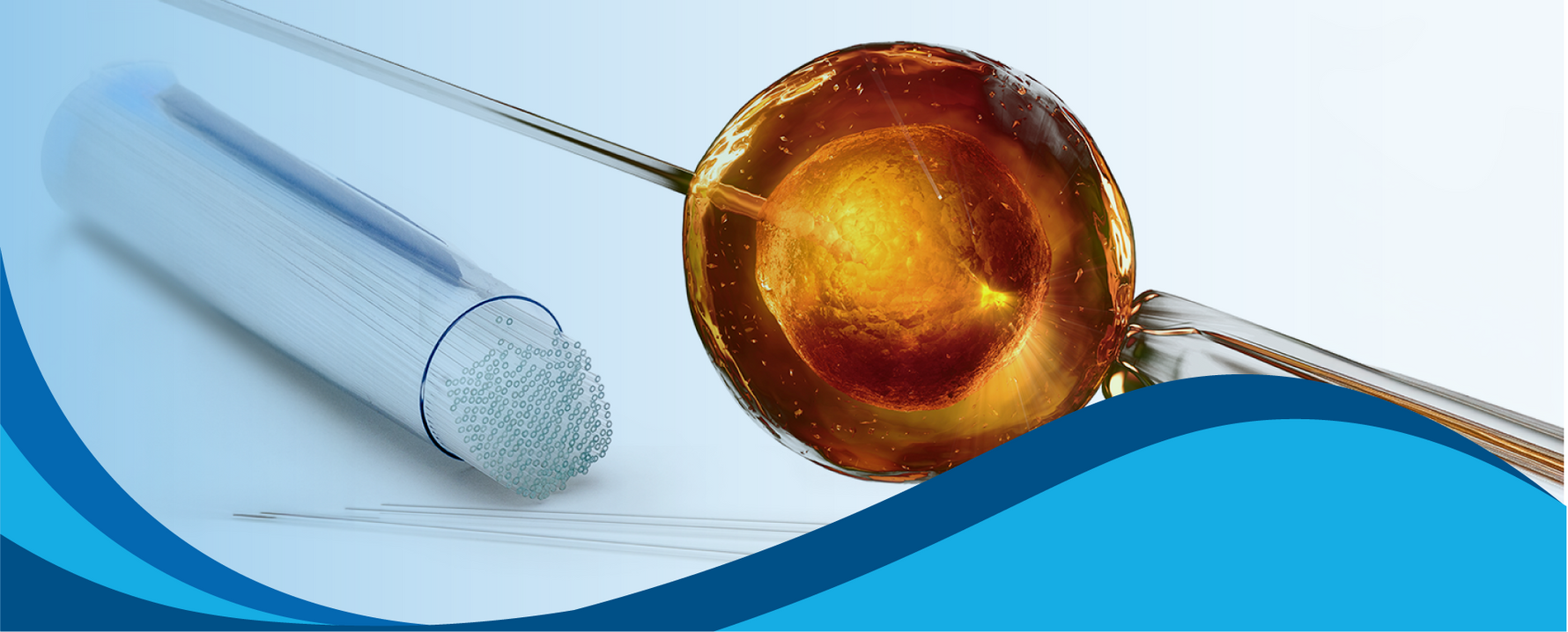 Glass Capillaries - Quality Glass for Microinjection